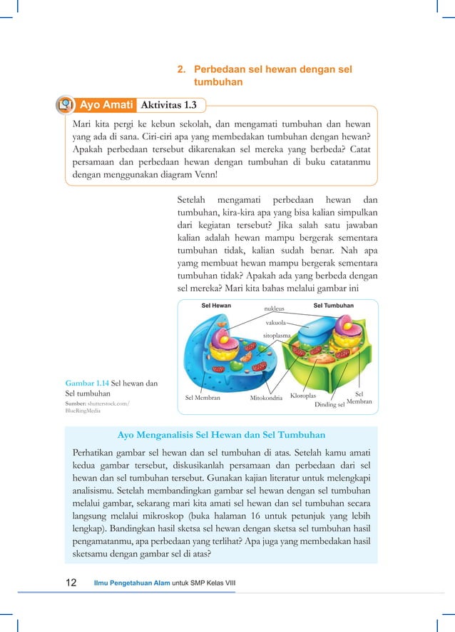 Bab 1 Pengenalan Sel.pdf