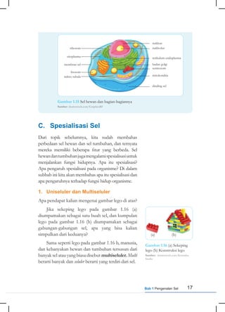 Bab 1 Pengenalan Sel.pdf