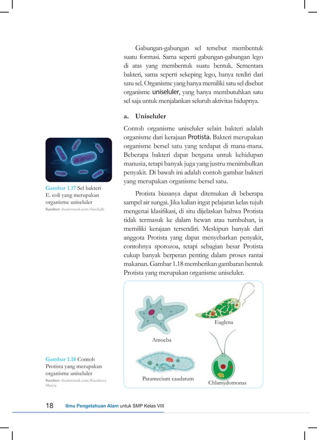 Bab 1 Pengenalan Sel.pdf