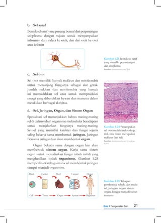 Bab 1 Pengenalan Sel.pdf