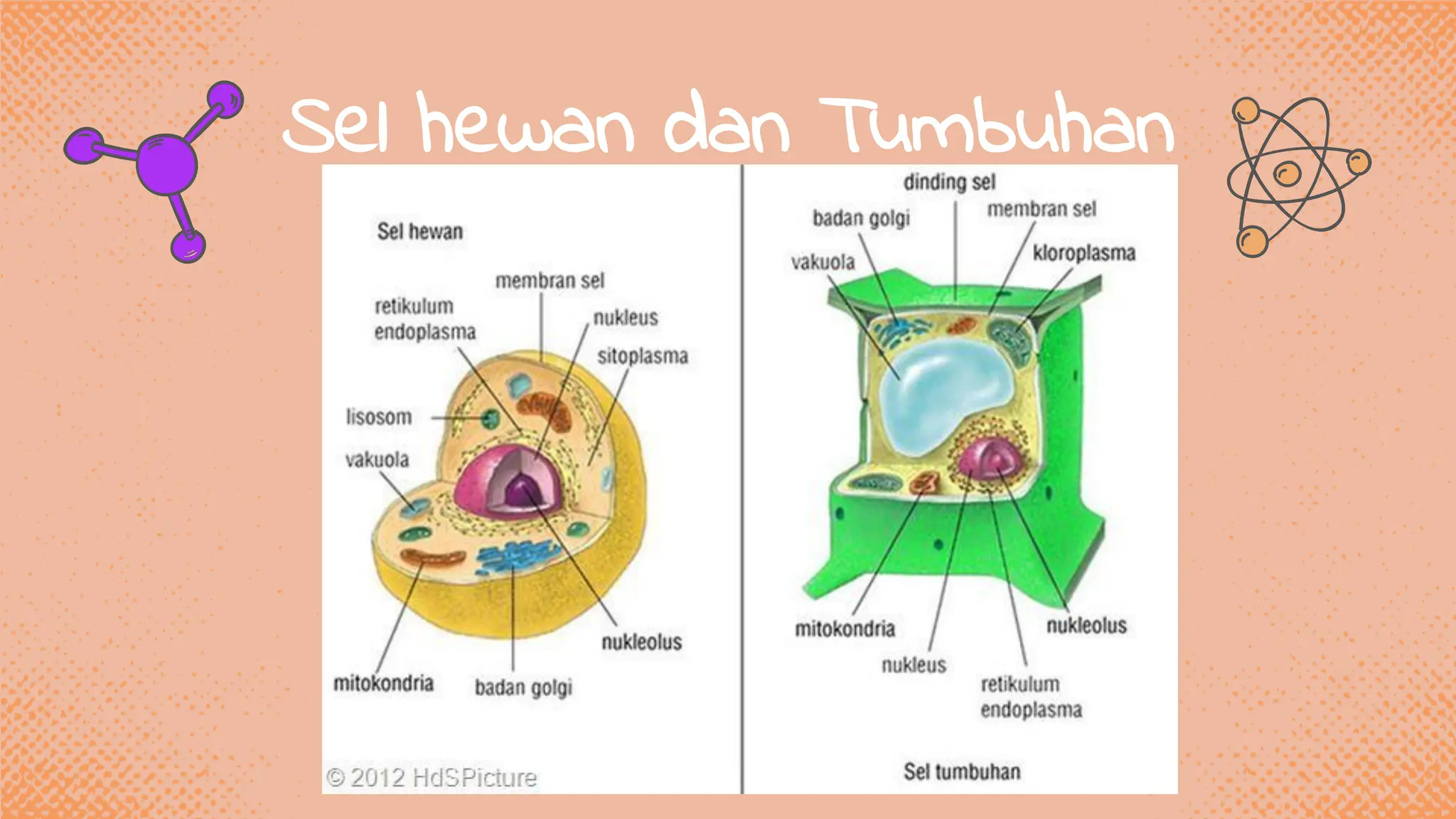 Pengenalan sel kelas 8 bab 1 kurikulum merdeka | PDF