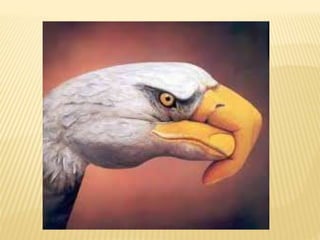 BAB 1 Pengenalan SENI RUPA DI SEKITAR KITA.pptx