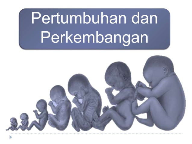 Pertumbuhan dan Perkembangan | PPT