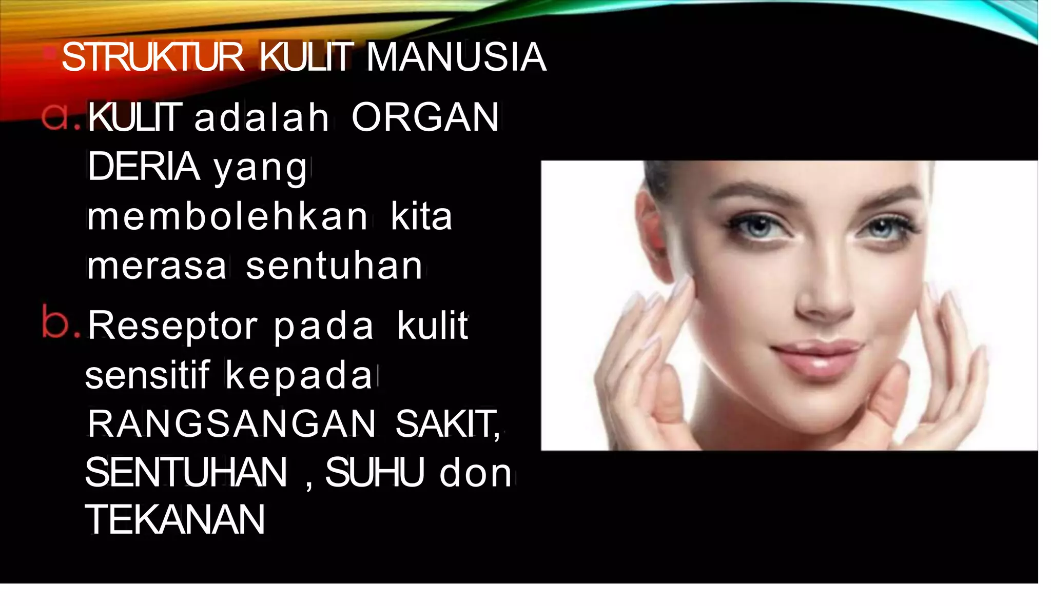 BAB 1 RANGSANGAN DAN GERAK BALAS.pptx