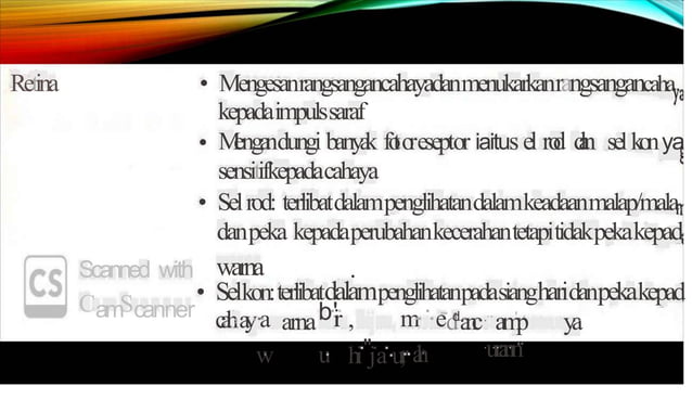 BAB 1 RANGSANGAN DAN GERAK BALAS.pptx