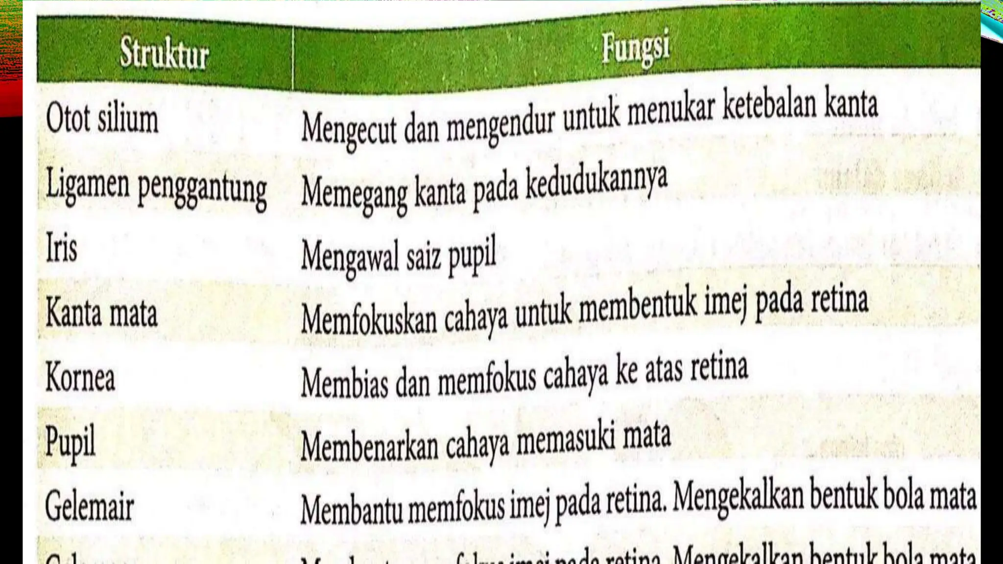 RANGSANGAN DAN GERAK BALAS BAB 1 SAINS TING 3 | PPTX