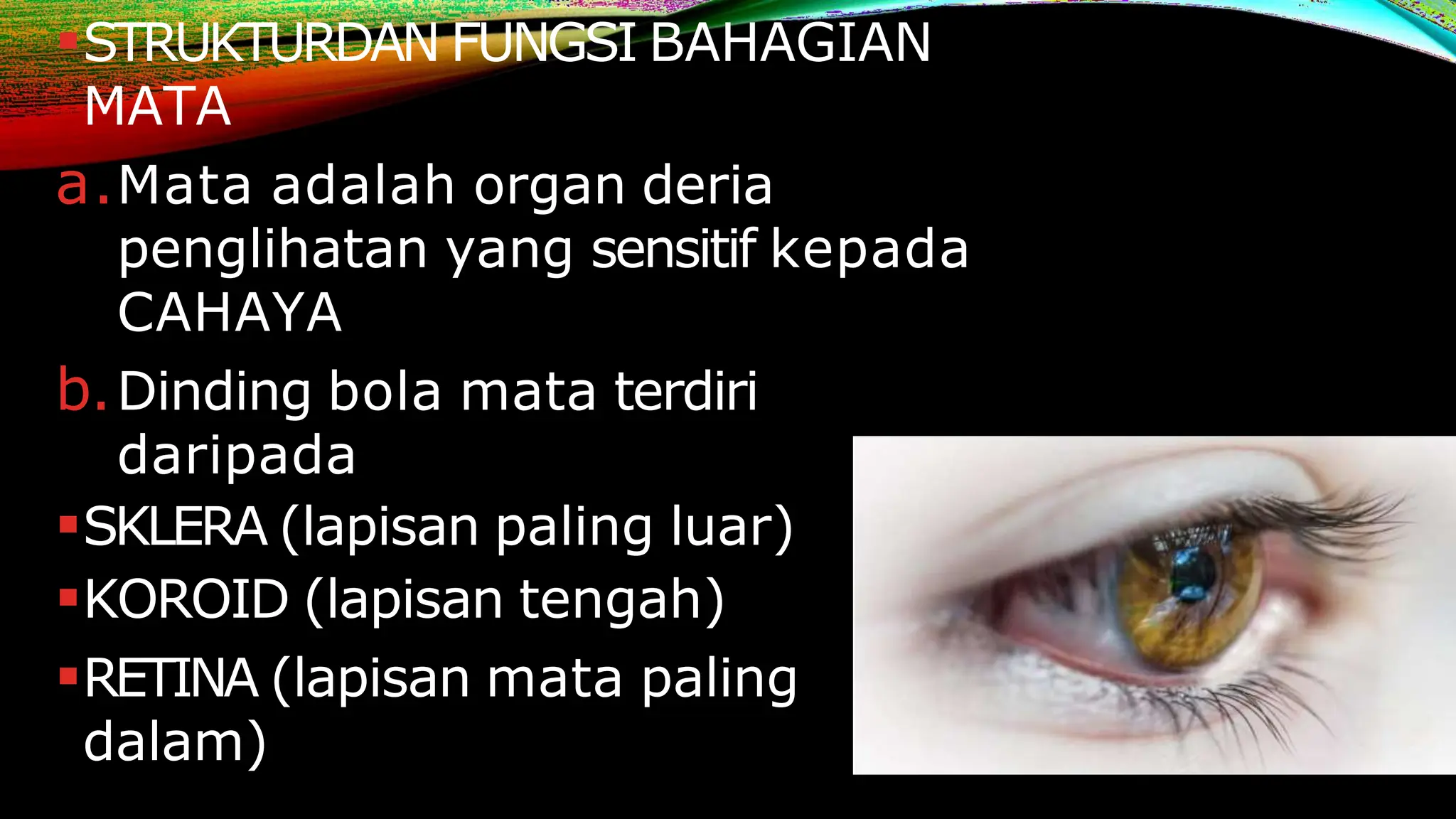 RANGSANGAN DAN GERAK BALAS BAB 1 SAINS TING 3 | PPTX
