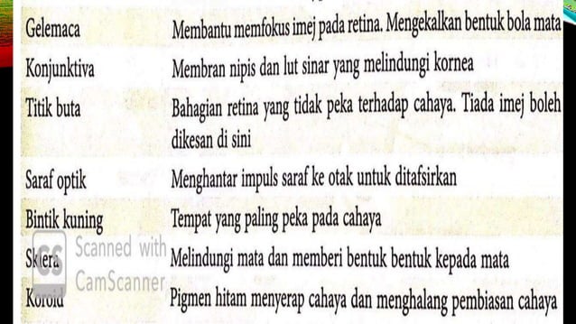 RANGSANGAN DAN GERAK BALAS BAB 1 SAINS TING 3 | PPTX