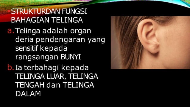 RANGSANGAN DAN GERAK BALAS BAB 1 SAINS TING 3 | PPTX