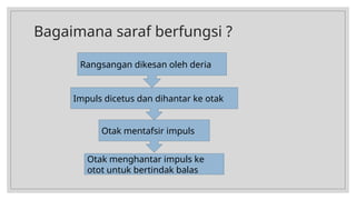 BAB 1 RANGSANGAN DAN GERAK BALAS 1.1.pptx