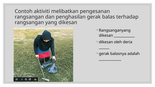BAB 1 RANGSANGAN DAN GERAK BALAS 1.1.pptx