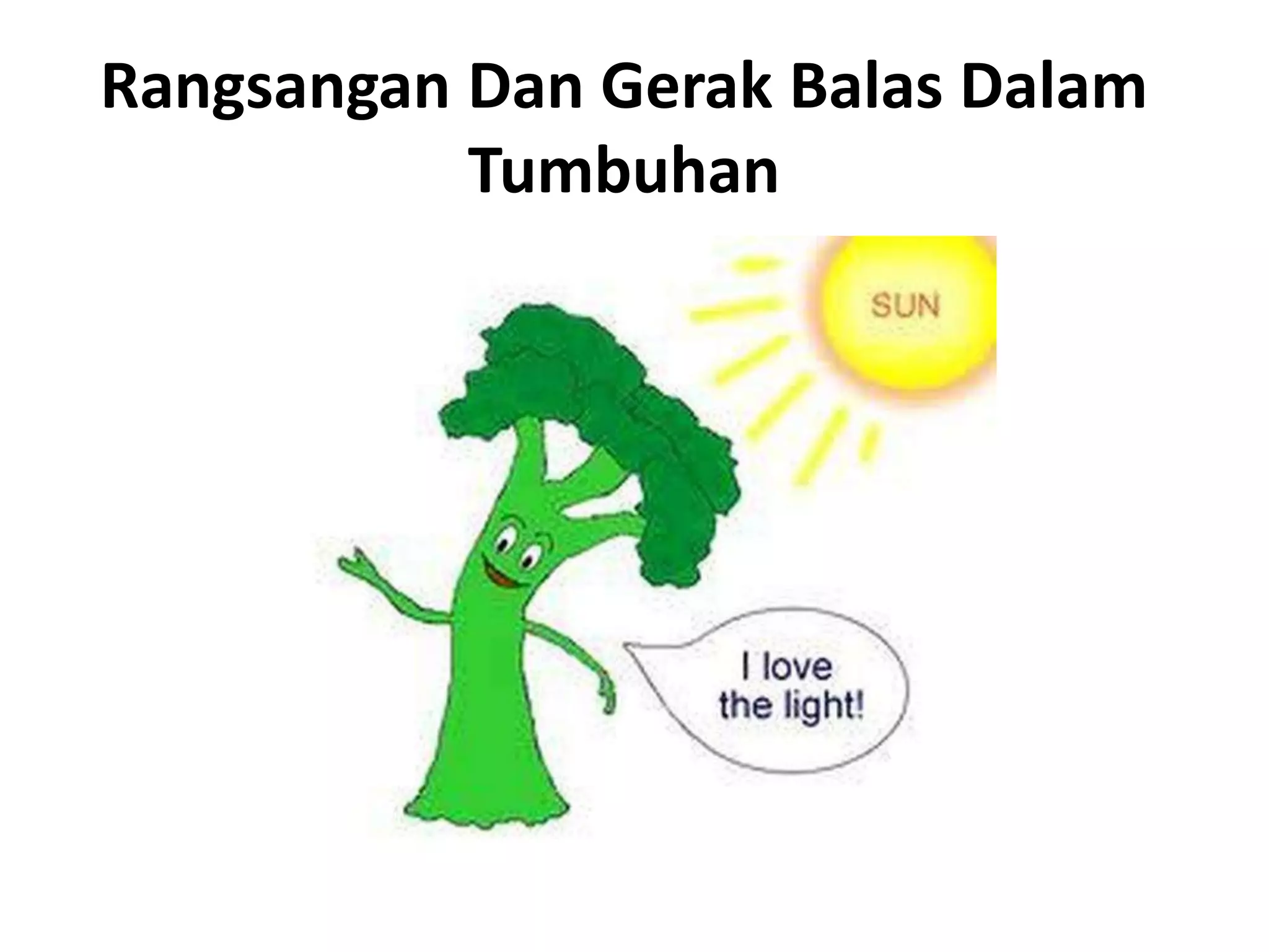 BAB 1 Rangsangan dan Gerak balas Tumbuhan.ppt