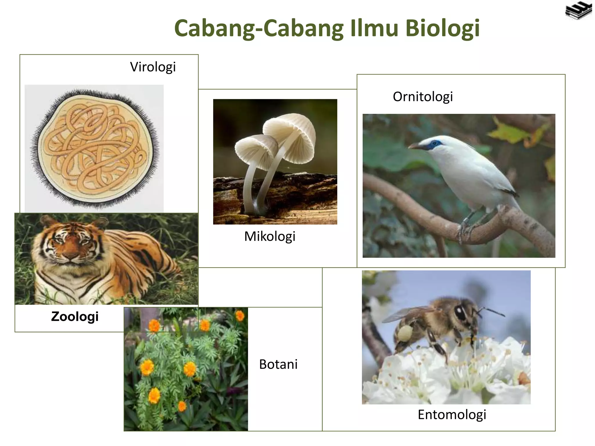 Bab 1 Ruang Lingkup Biologi.pptx
