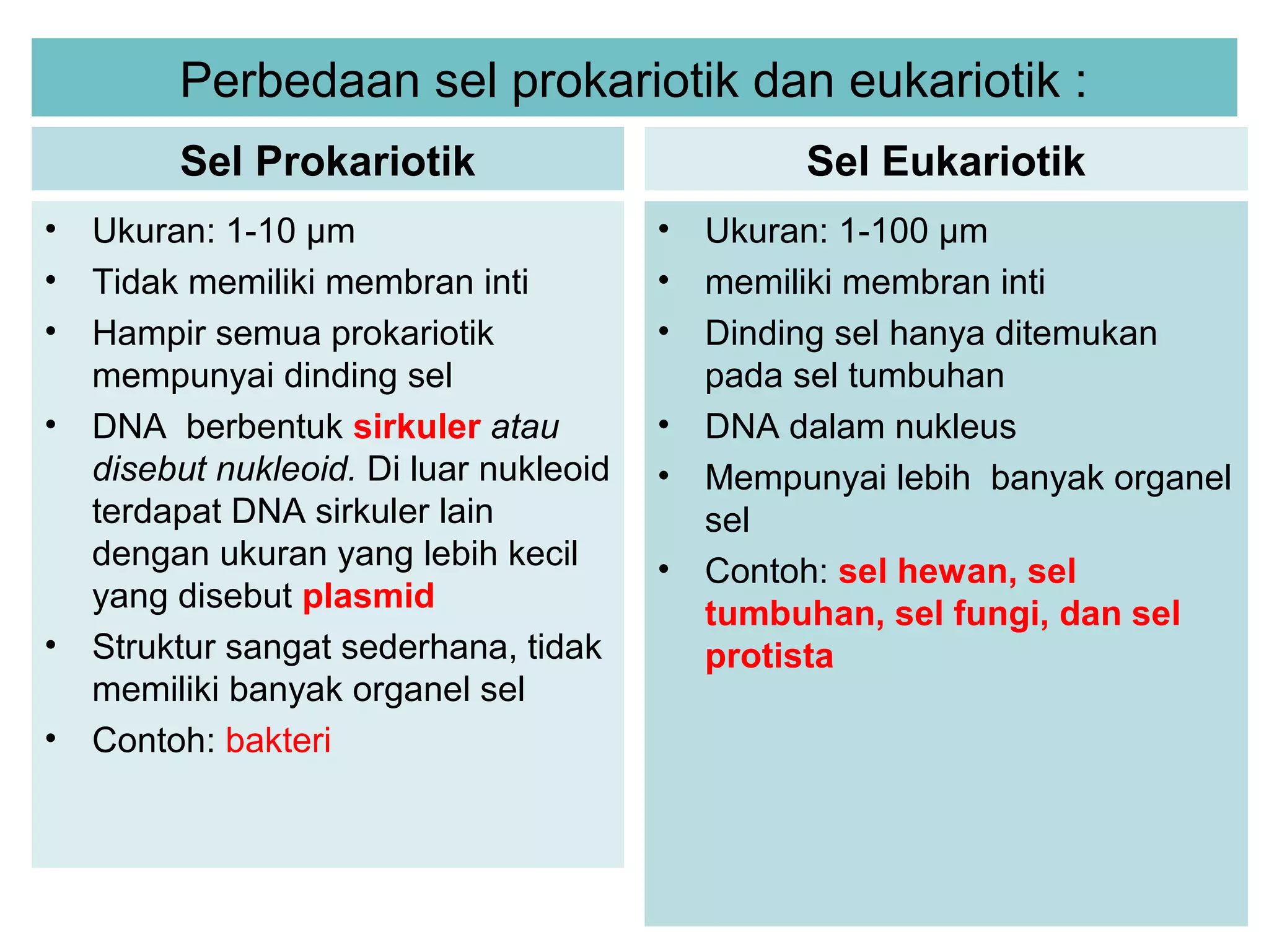 Bab 1 Sel - kelas XI | PPT
