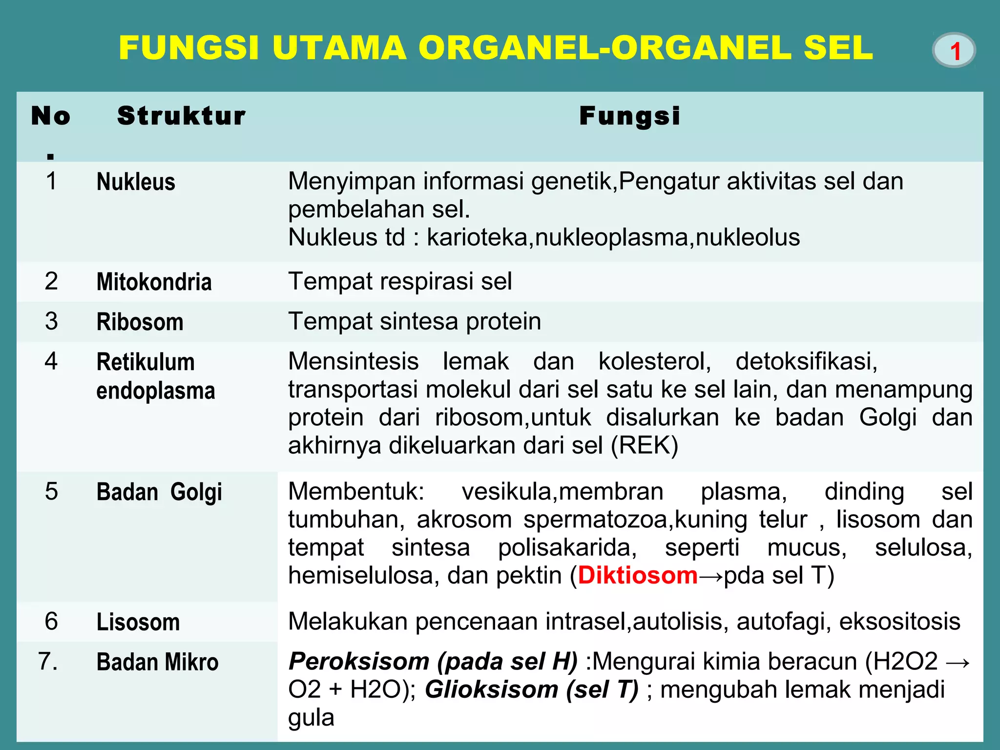 Bab 1 Sel - kelas XI | PPT