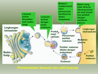 Bab 1 sel | PPT