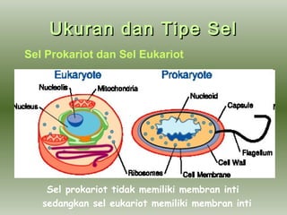 Bab 1 sel | PPT