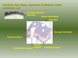 Bab 1 sel | PPT