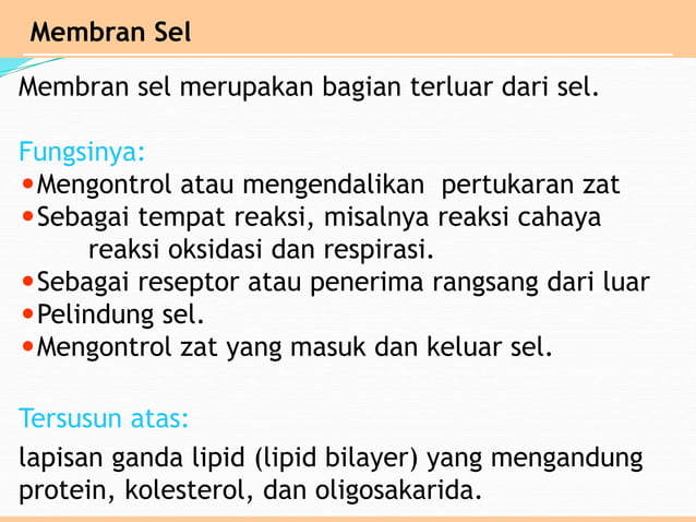 Bab1_SEL.ppt
