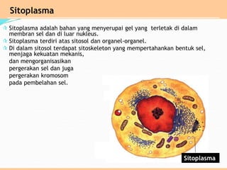 Bab1_SEL.ppt