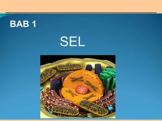 Bab1_SEL.ppt