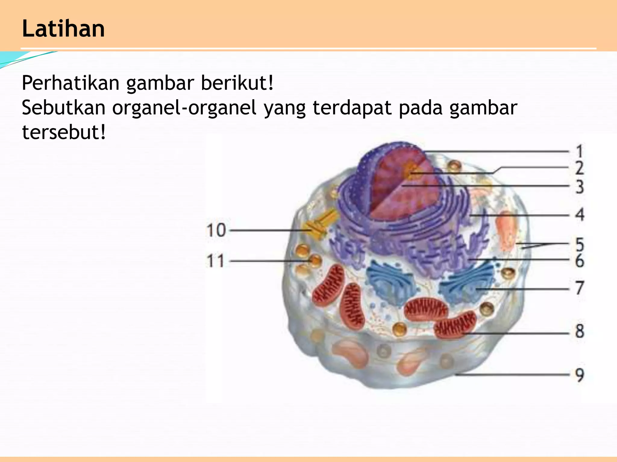 Bab1_SEL.ppt