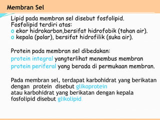 Bab1_SEL.ppt materi sel dan jaringan sel yang | PPT