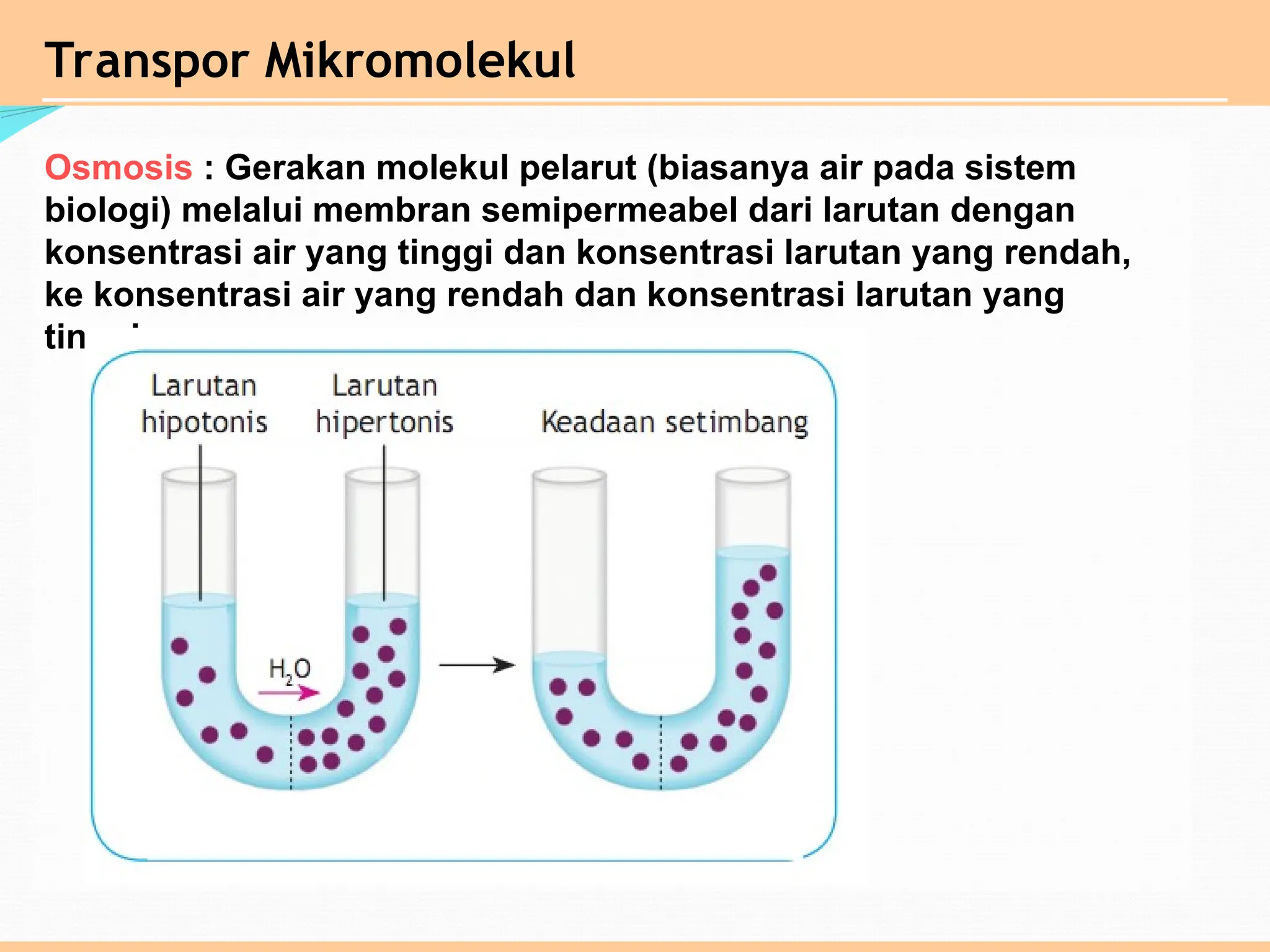 Bab1_SEL.ppt materi tentang sel kelase sepuluh | PPT