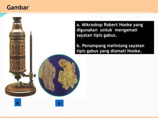 Bab1_SEL kelas dua belas , sel , jaringan tumbuhan, jaringan hewan.ppt