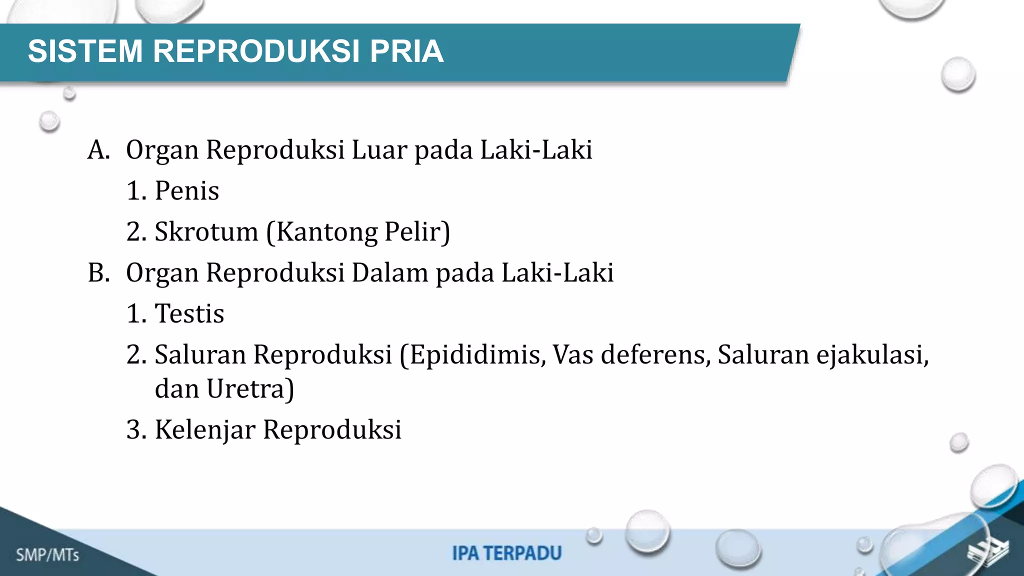 BAB 1 Sistem Reproduksi Manusia.pptx