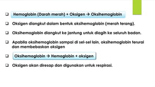 Bab 1 sistem respirasi | PPT