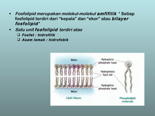 Bab 1 struktur sel | PPT