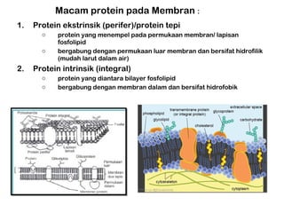 Bab 1 struktur sel | PPT