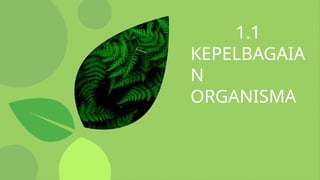 Bab 1 Biodiversiti Sains Tingkatan 2 Pptx