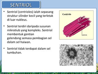 Bab 2 biologi struktur dan organisasi sel | PPT