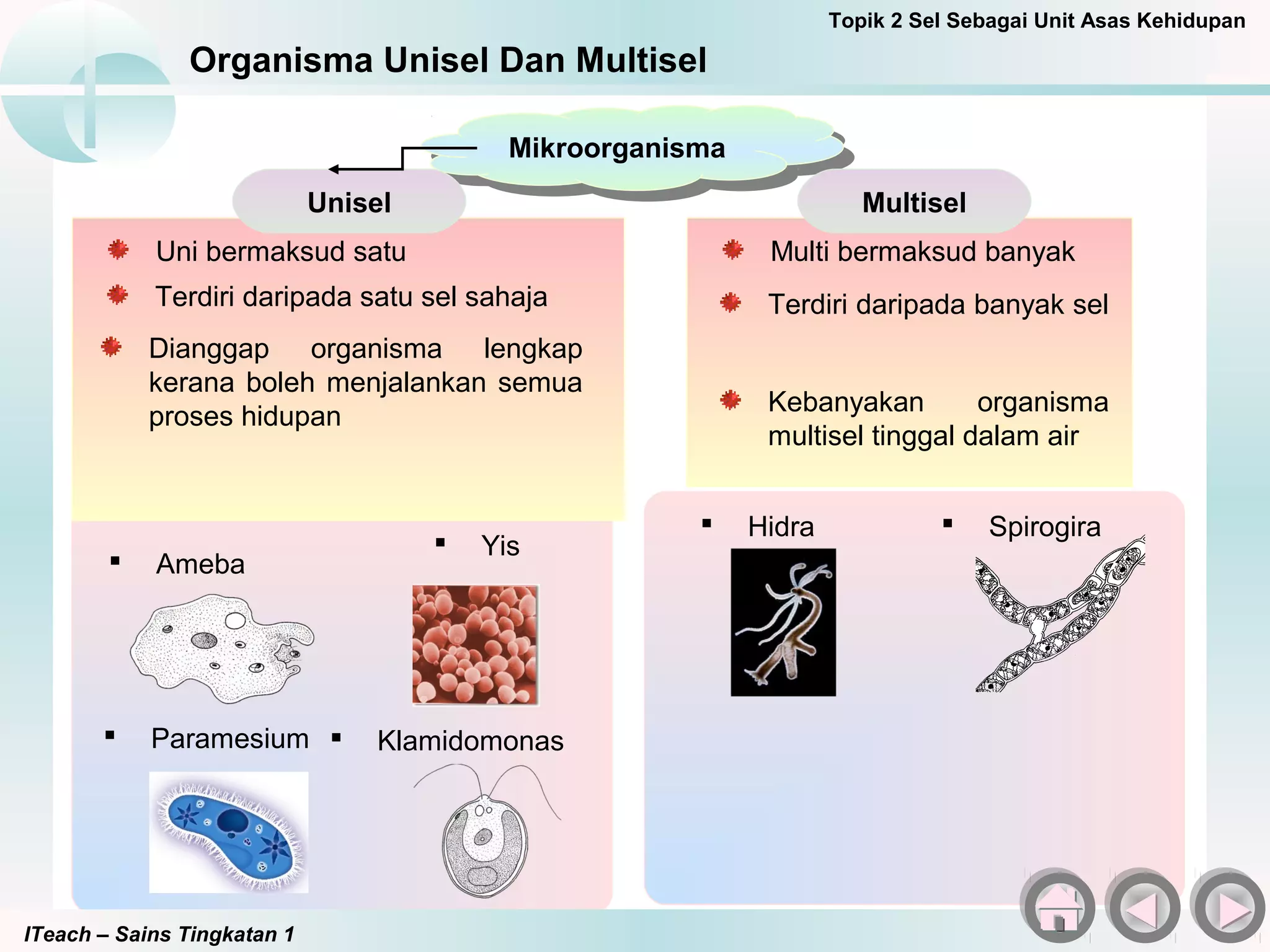 Bab 2 Sel Sebagai Unit Asas Hidupan | PPT