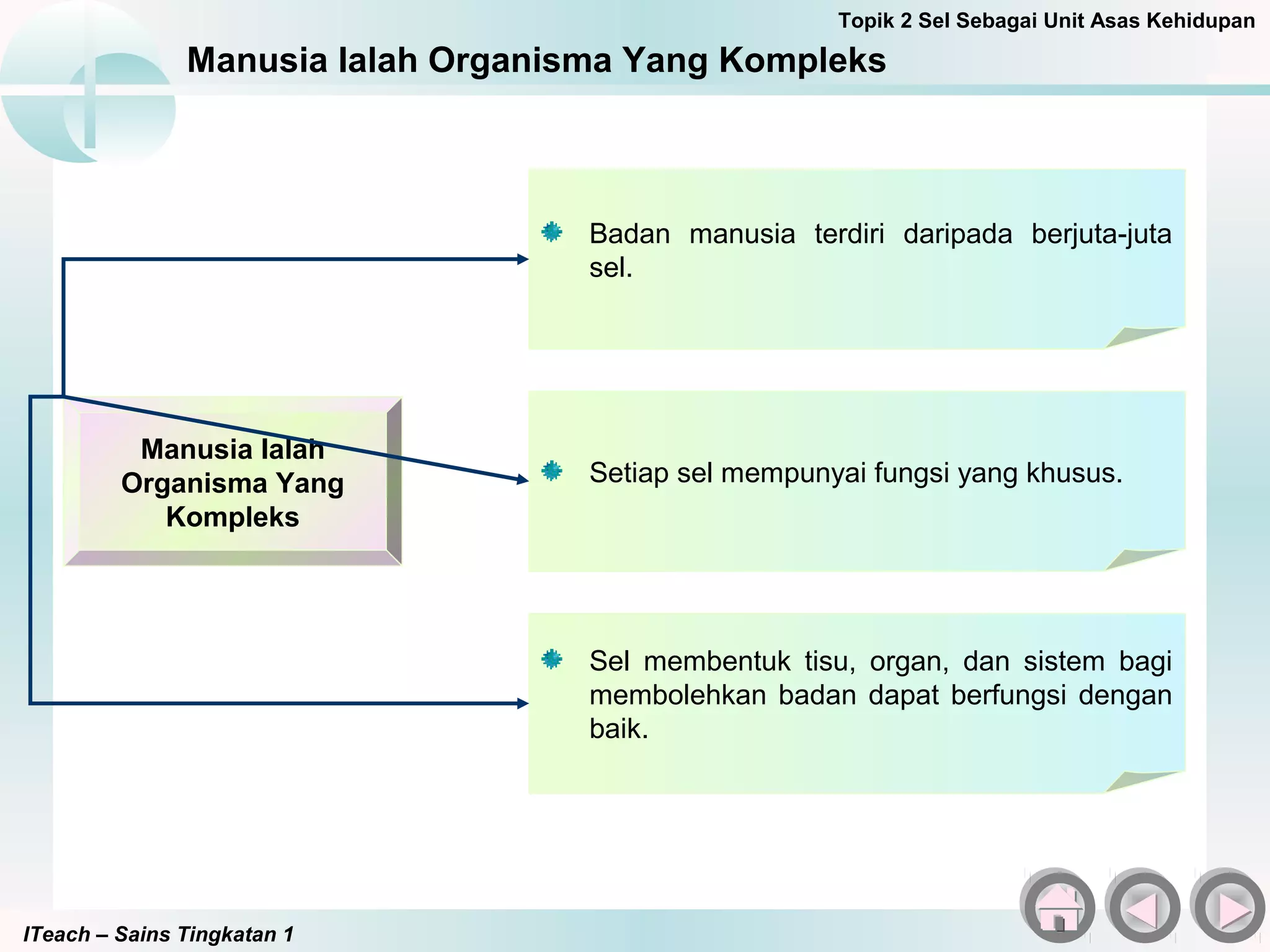 Bab 2 Sel Sebagai Unit Asas Hidupan | PPT