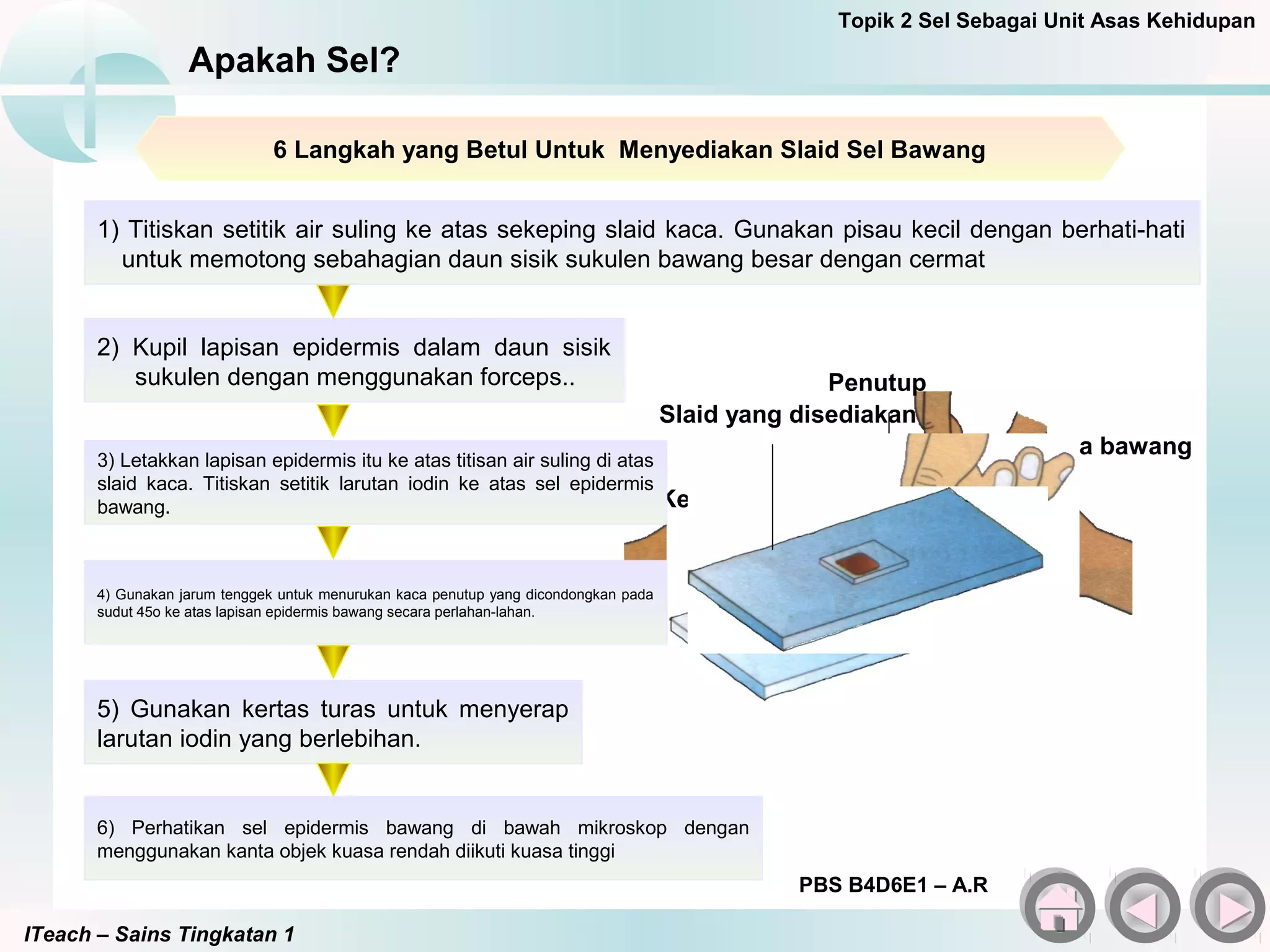 Bab 2 Sel Sebagai Unit Asas Hidupan | PPT