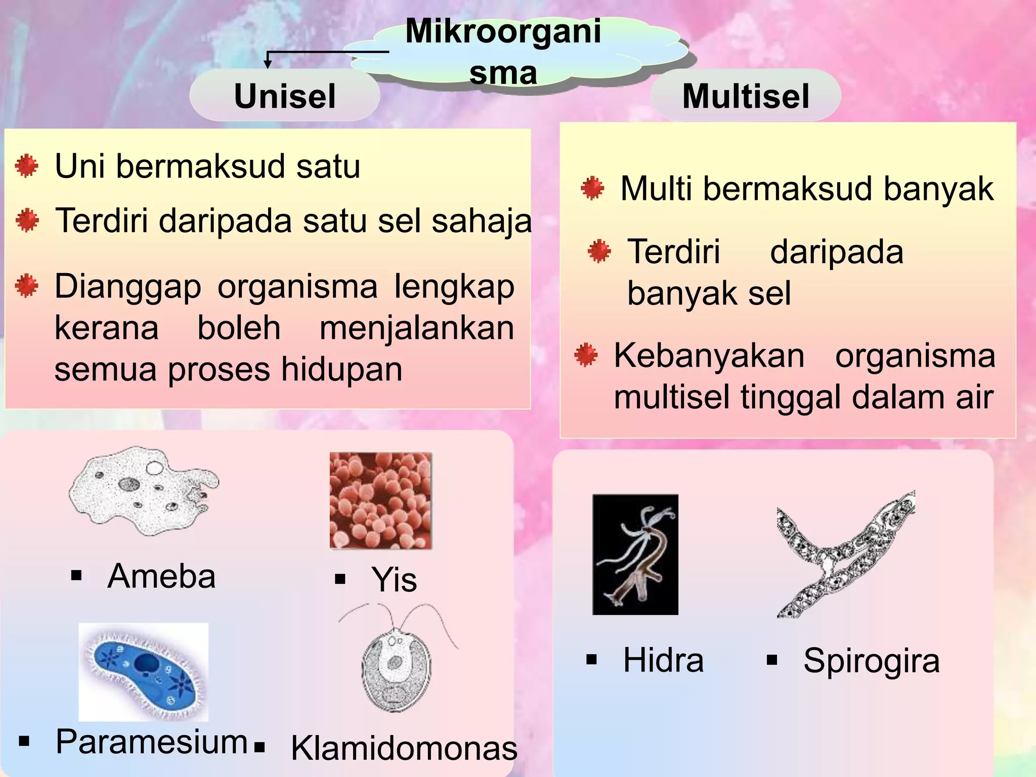 Bab 2 Sel sebagai Unit Asas Kehidupan | PPTX