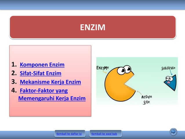 Bab 2. metabolisme part 1 (enzim) | PPT