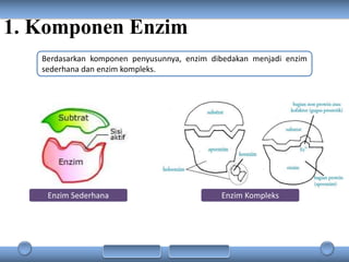 Bab 2. metabolisme part 1 (enzim) | PPTX