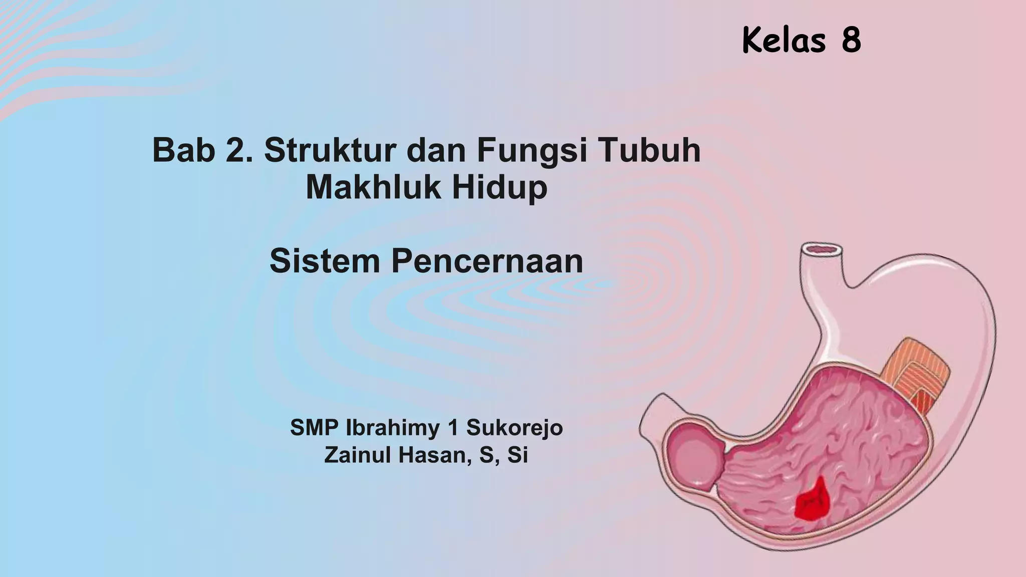 Bab 2 Struktur dan Fungsi Tubuh (Sistem Pencernaan) IPA Kelas 8 SMP Ibrahimy 1 Sukorejo ...