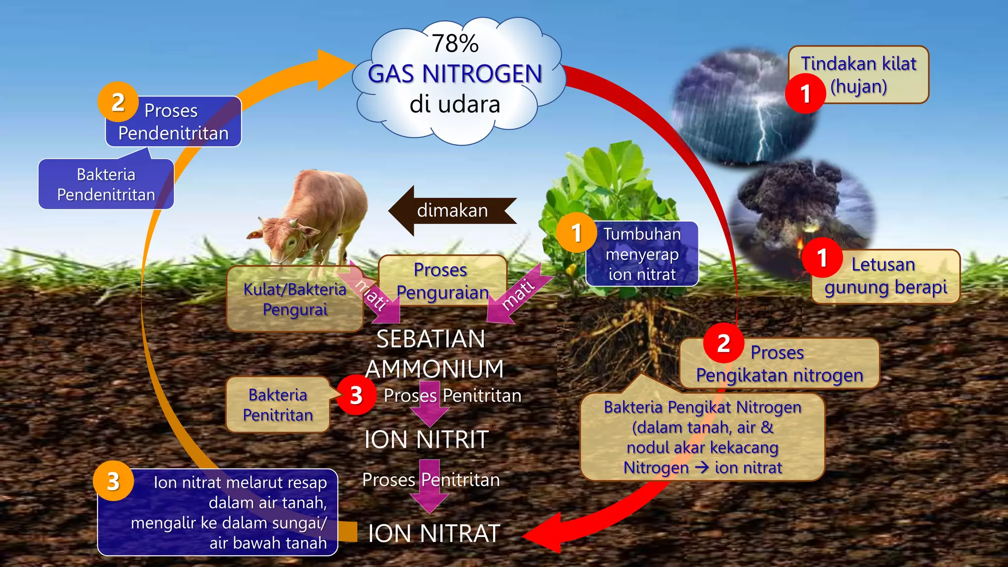 BAB 2.3 T5 KITAR NITROGEN.pptx