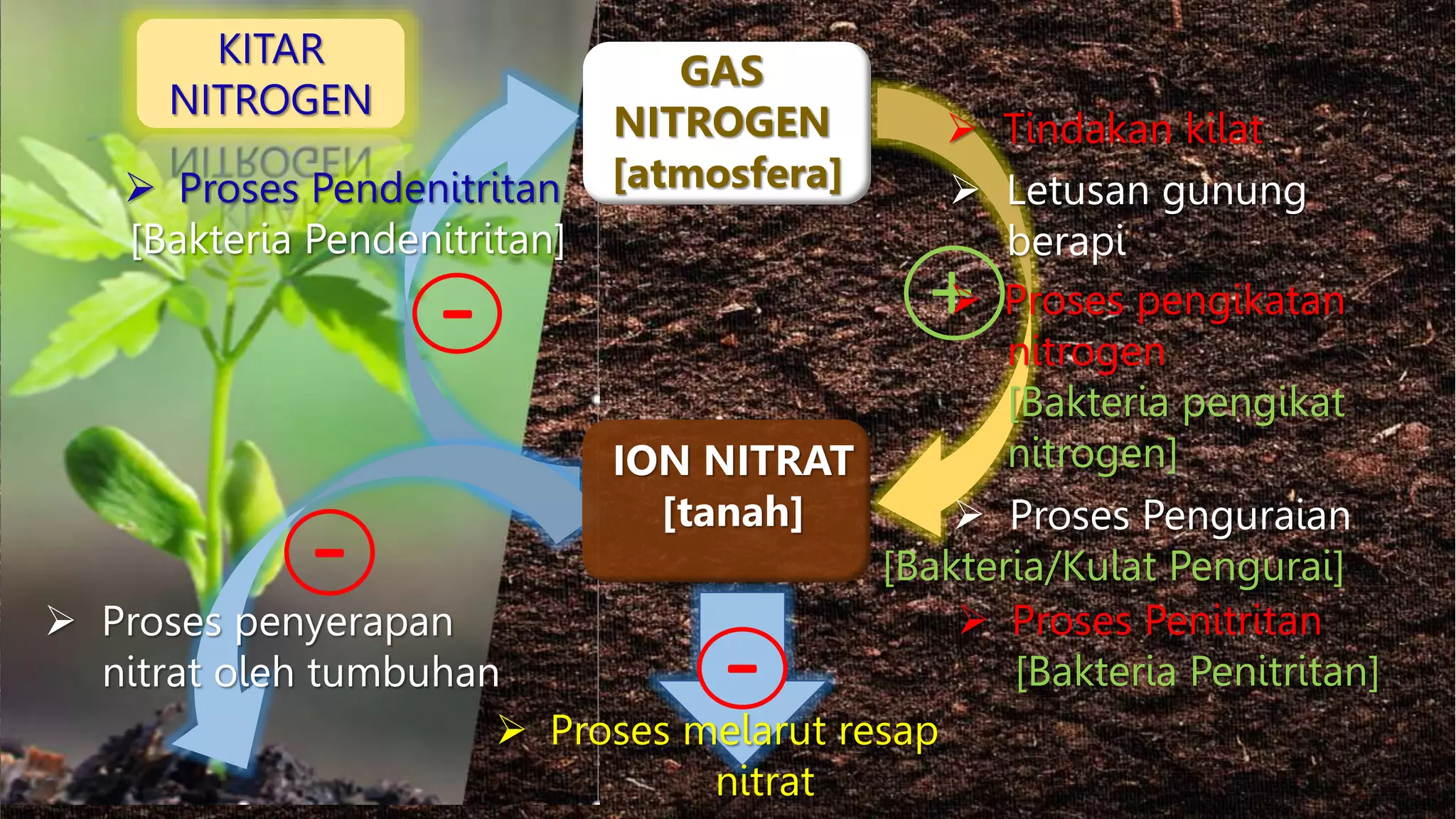 BAB 2.3 T5 KITAR NITROGEN.pptx