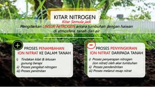 BAB 2.3 T5 KITAR NITROGEN.pptx