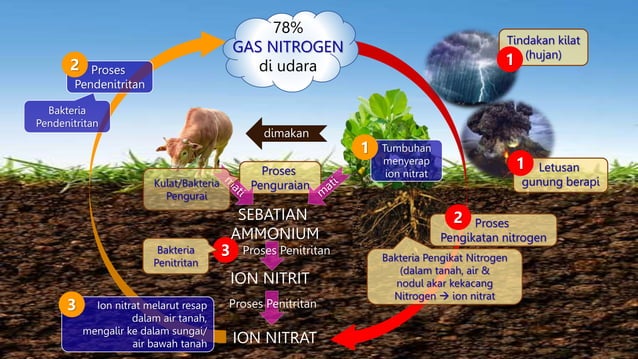 BAB 2.3 T5 KITAR NITROGEN.pptx