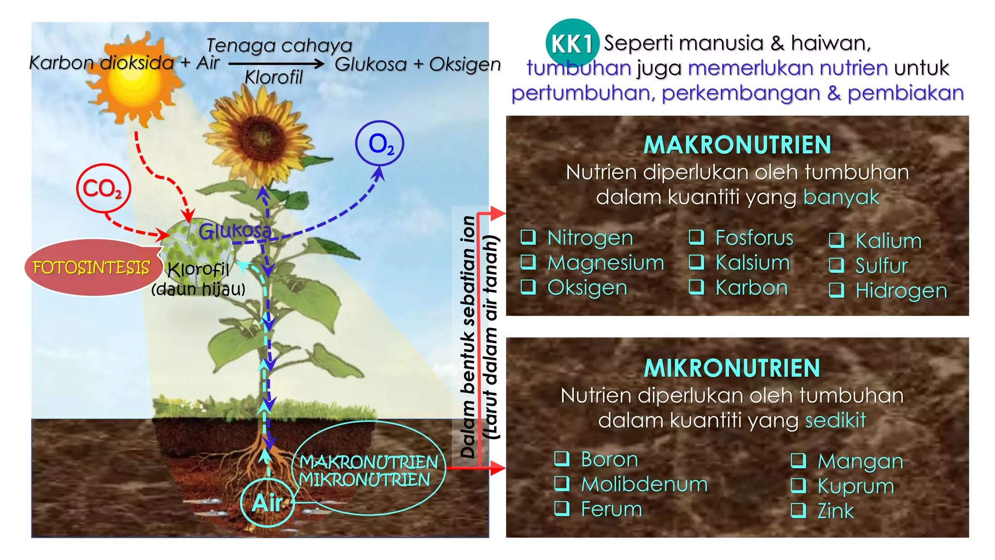 BAB 2.2 T5 NUTRIEN TUMBUHAN.pdf