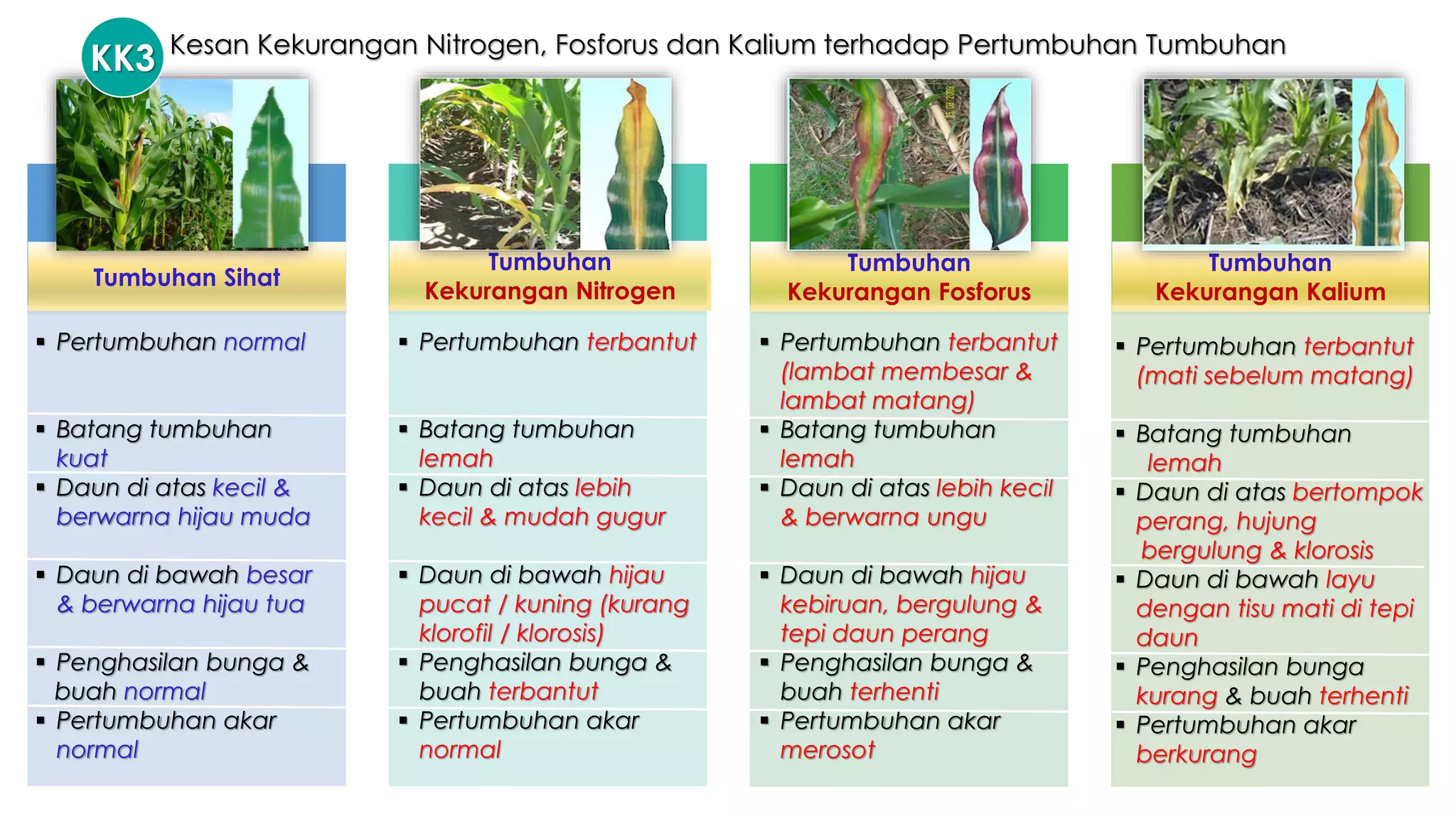 BAB 2.2 T5 NUTRIEN TUMBUHAN.pdf