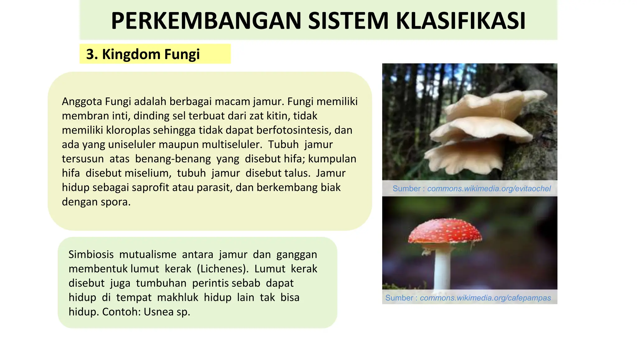 BAB 2 pembelajaran klasifikasi makhluk hidup | PPTX