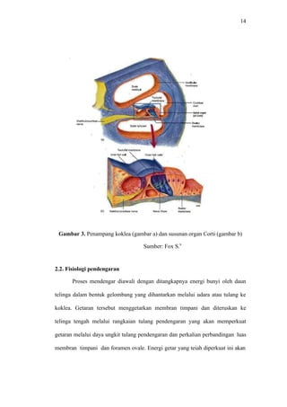 GELOMBANG BUNYI, ANATOMI TELINGA DAN MEKANISME MENDENGAR | DOCX